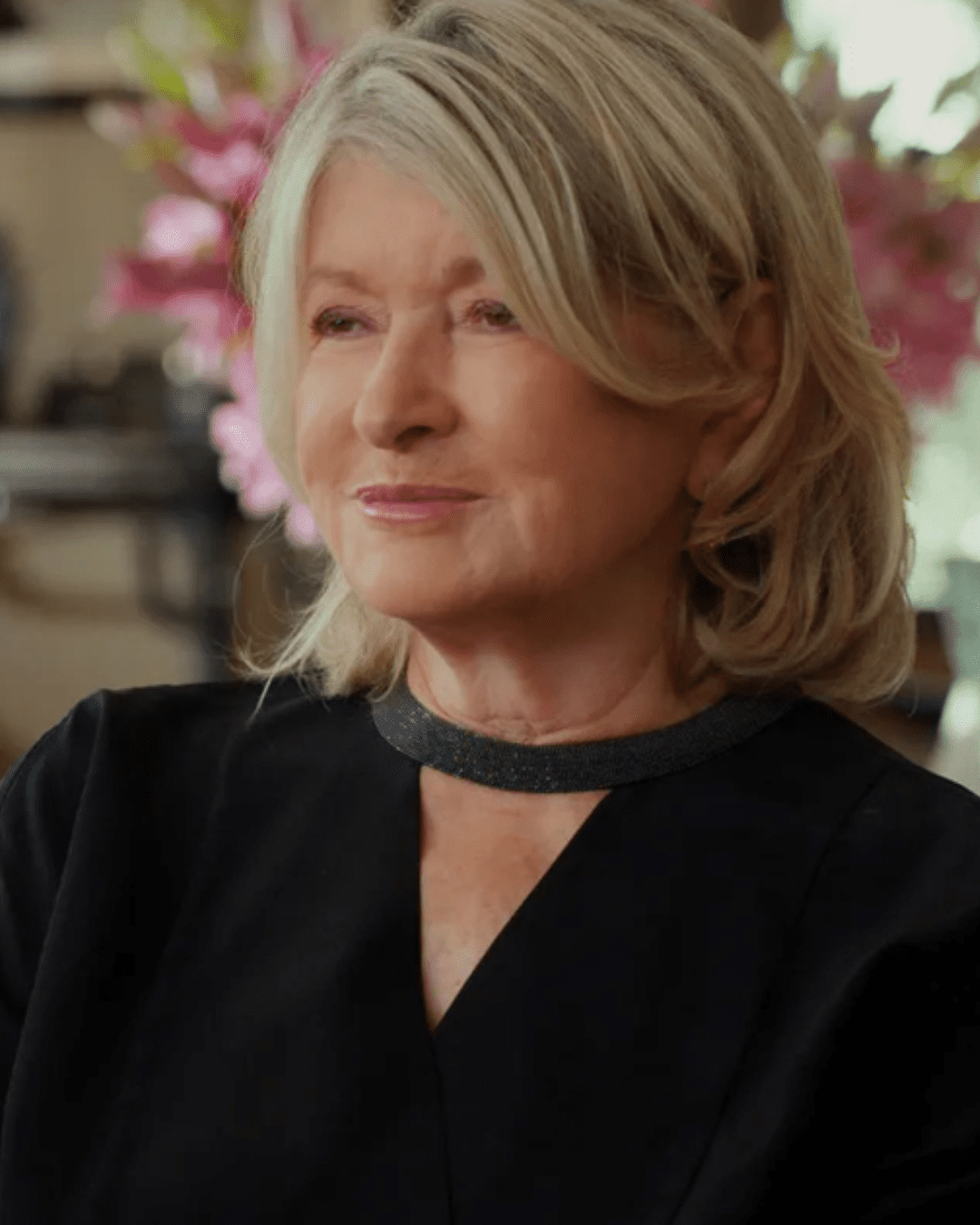 Martha Stewart's Netlix documentary is out now | Punkee